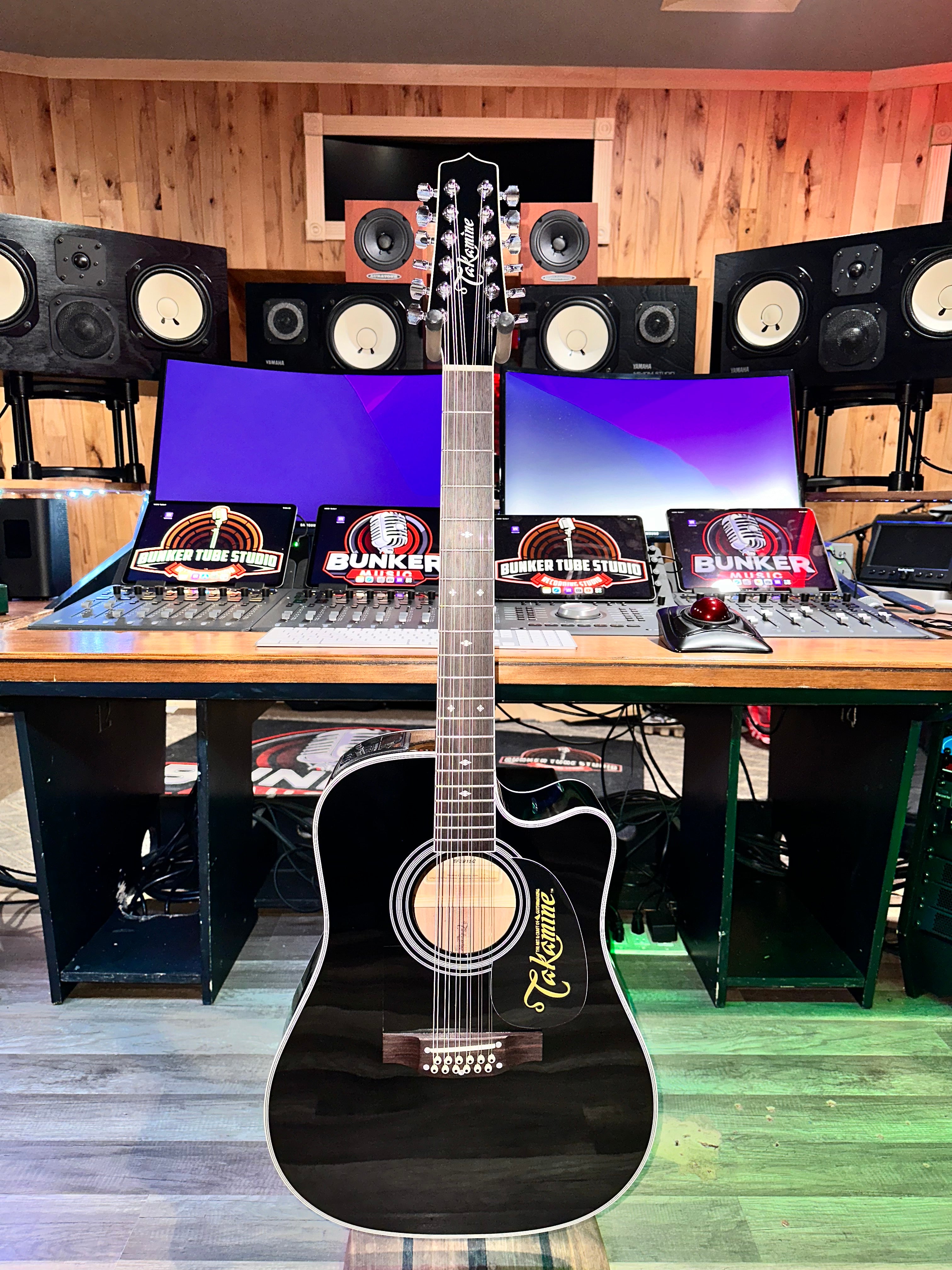 12 STRING – TK Power Guitars