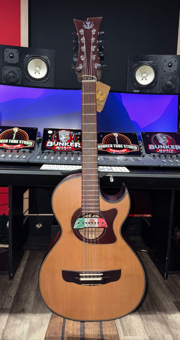 ACCORDEON – TK Power Guitars