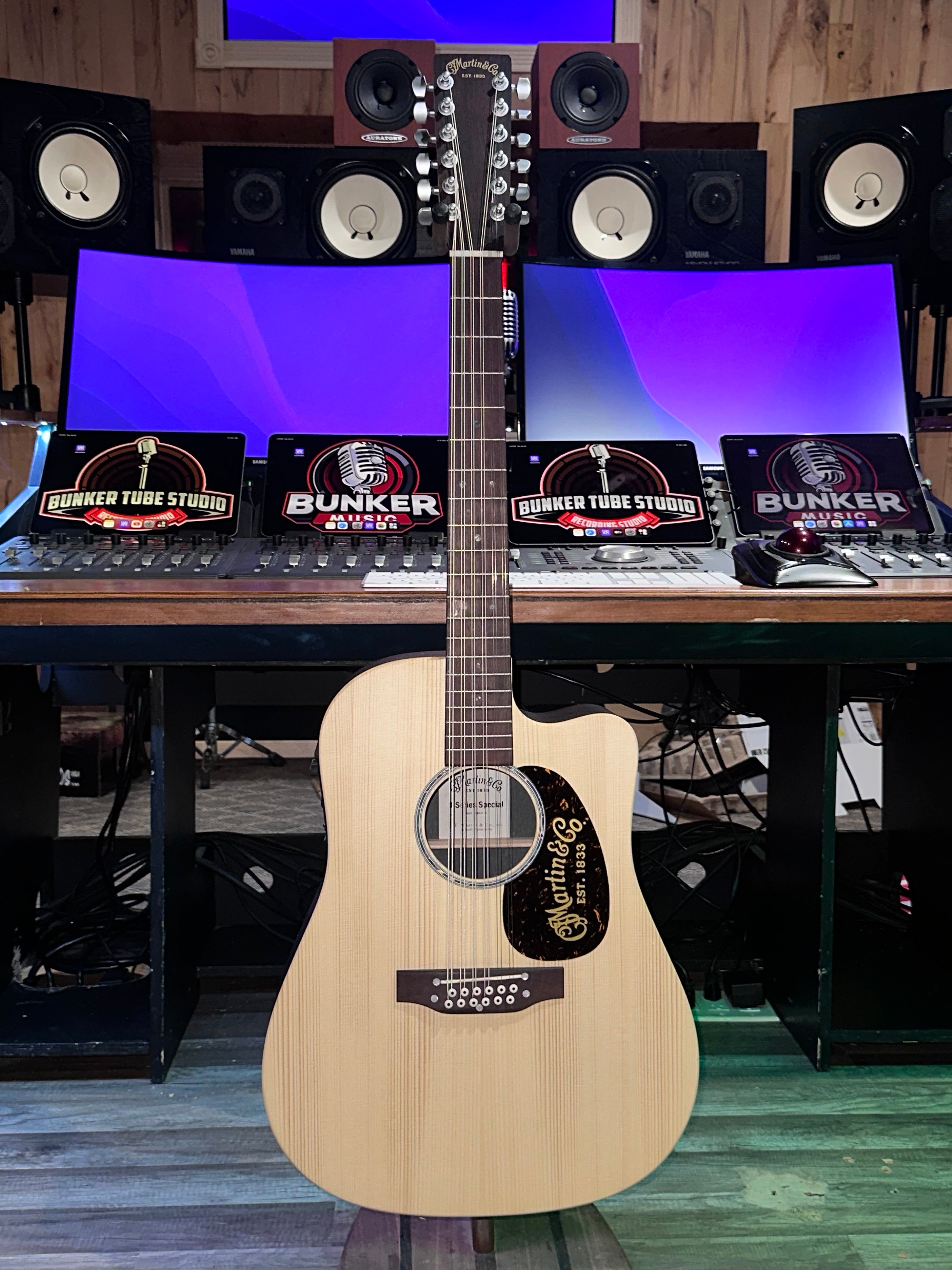 12 STRING – Page 2 – TK Power Guitars