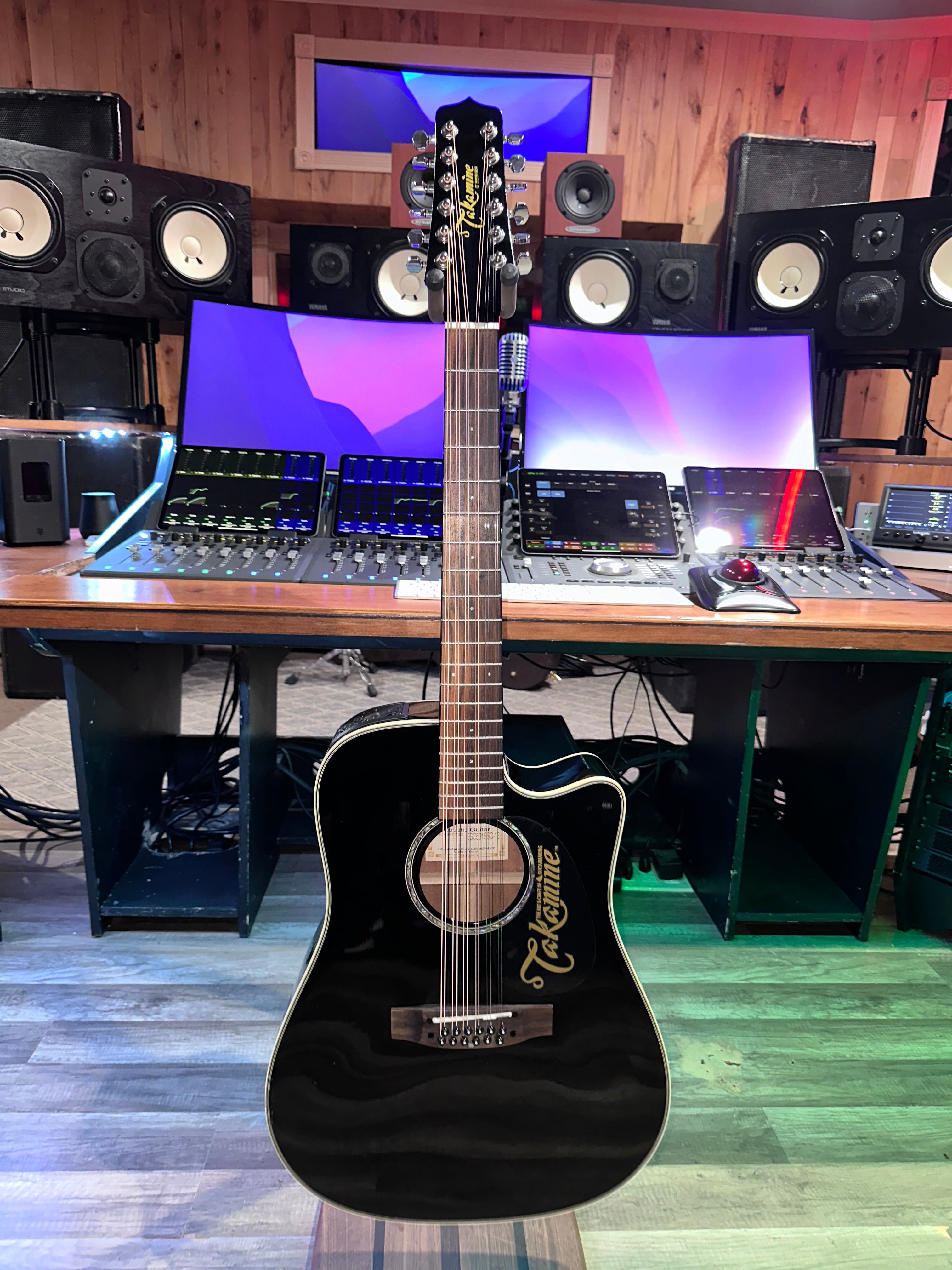 12 STRING – TK Power Guitars