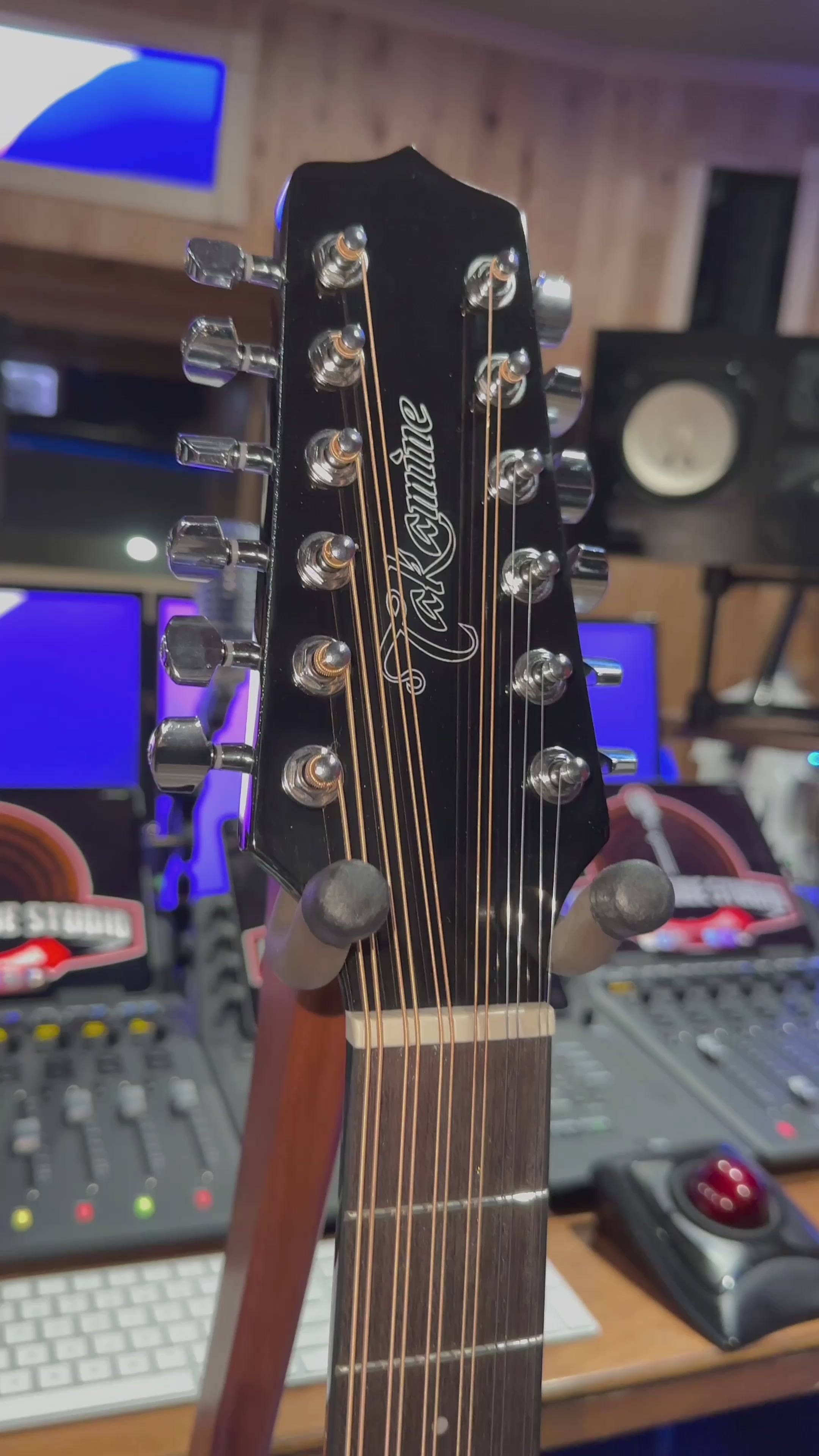 GUITARS – TK Power Guitars